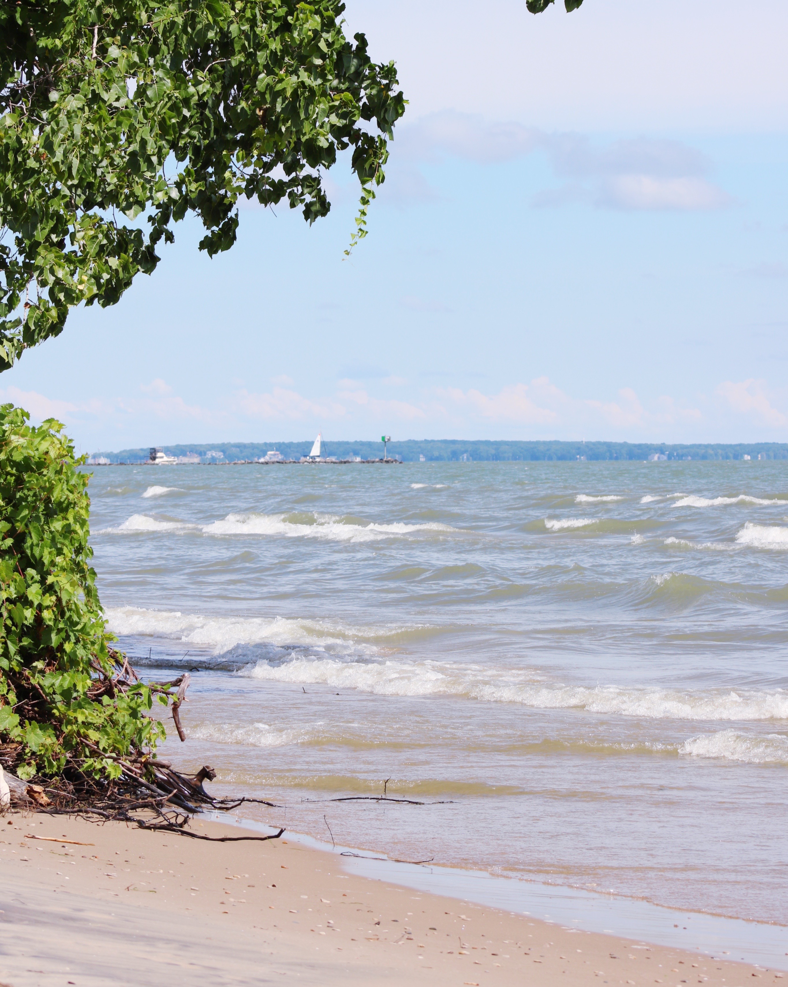 FAVORITE LAKE ERIE BEACHES – A Dash of Solt